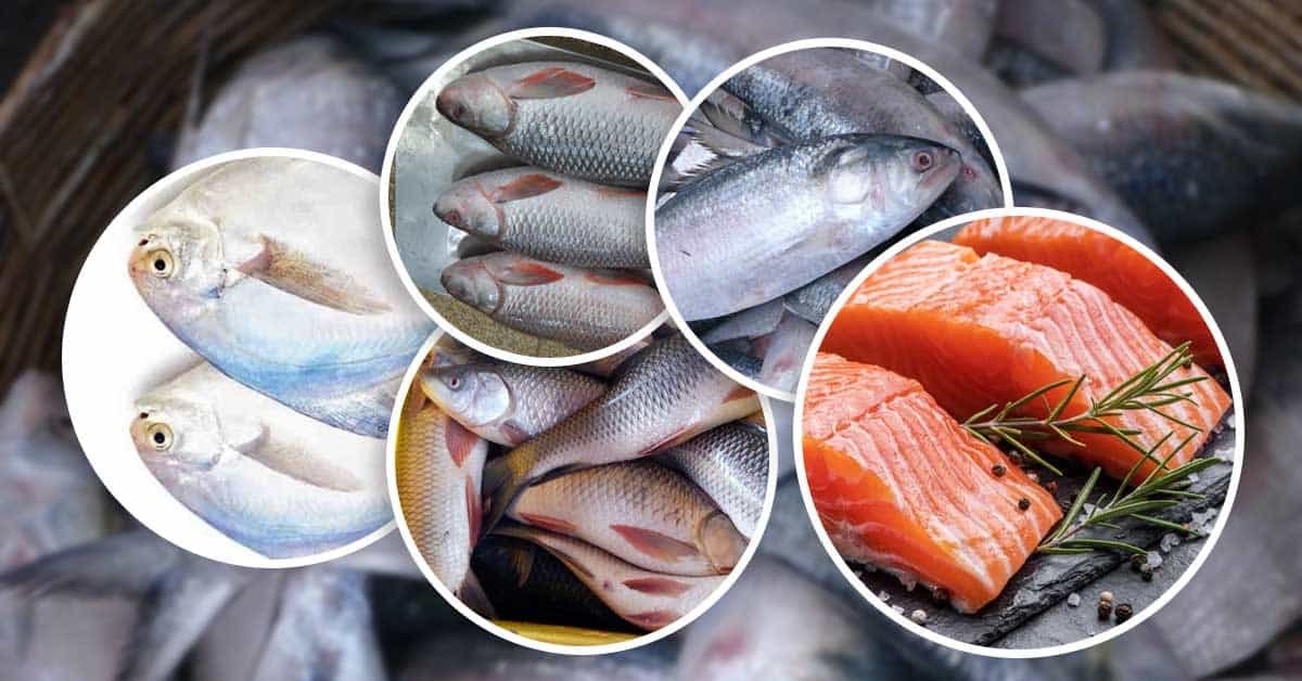 5 Benefits Of More Protein For Seniors: Good To Have Extra?