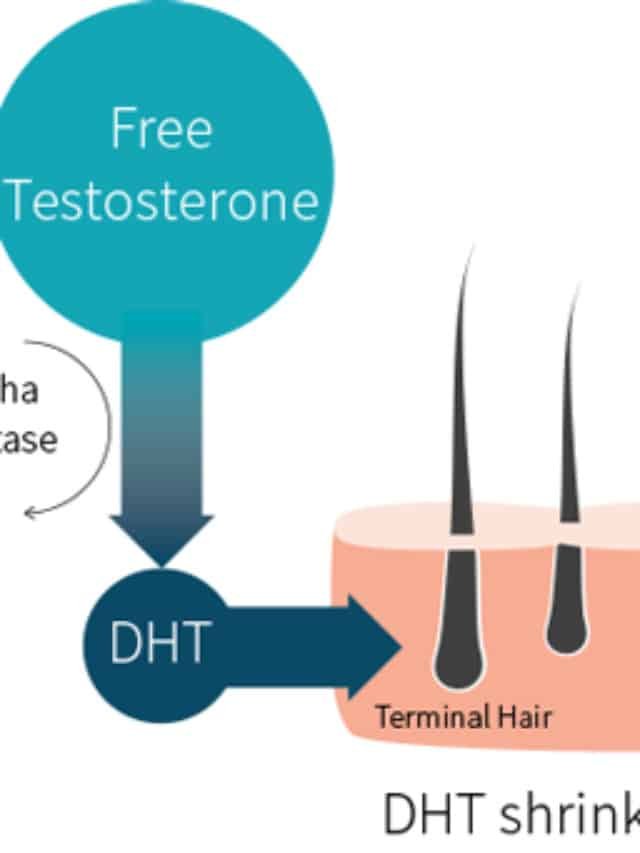 Is Creatine Good for Skin and Hair? The Various Benefits